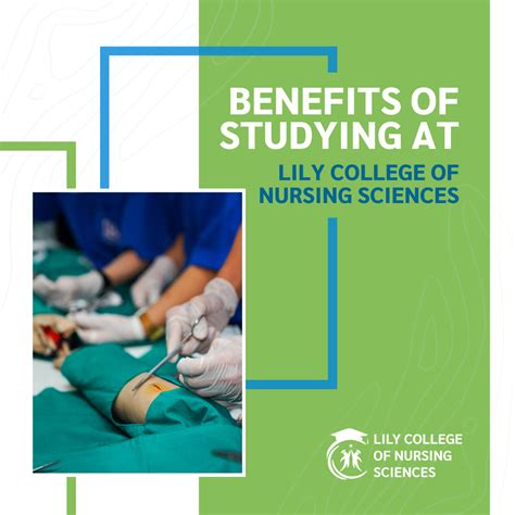 Lily College Of Nursing Sciences Premier Nursing Education In Nigeria