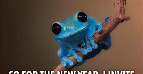 Day 2 Of 365 25 Sumo Squats Meme On Imgur