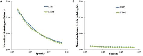 brain functional networks in type 2 diabetes mellitus patients a