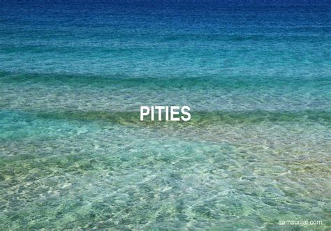 12 Arti Kata Pities Kamus Bahasa Inggris Terjemahan Indonesia