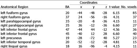 Figure 2 1 From Dissecting The Human Medial Temporal Lobe Memory System