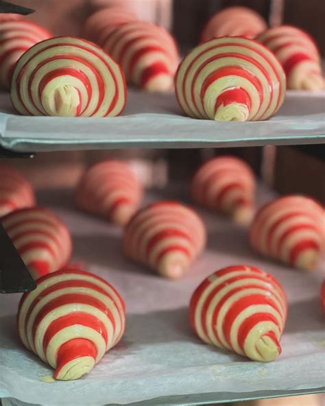 פנינה פאי מגייסת לתחילת עבודה פנינה פאי Pnina Pie