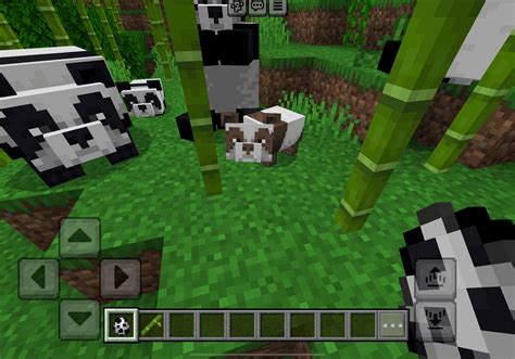 How Rare Is A Brown Panda In Minecraft