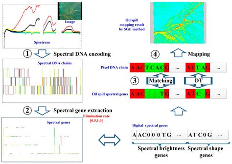 Monitoring Marine Oil Spills In Hyperspectral And Multispectral Remote