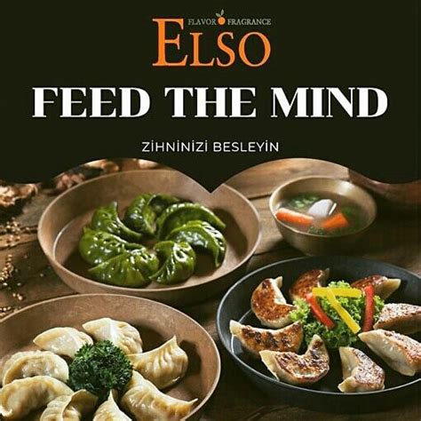 Elso Kimya Sanayi Ve Ticaret A S On Linkedin Feedthemind