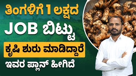 Ginger Farming In Kannada Ginger Cultivation How Ffreedom App