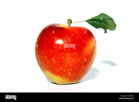 Яблоко красное с листиком, сорт Гала, фрукт, Red apple with a leaf ...