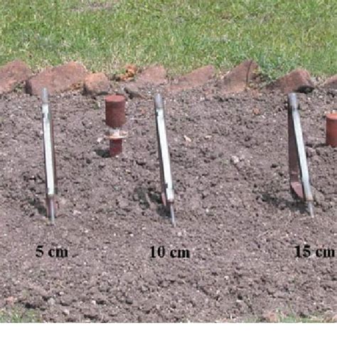 3 Grass Minimum Thermometer Download Scientific Diagram