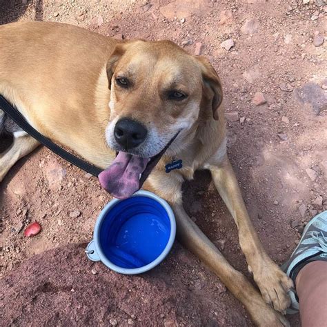James Parillo Has Been Spotted On The Pacific Crest Trail In Southern