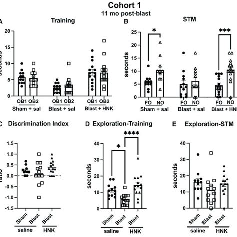 Elevated Zero Maze Ezm Testing Of Cohort 2 Blast Exposed Rats Were