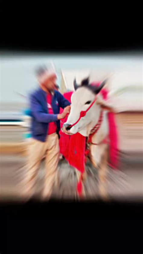 Nishant Tyagi Kaju Nishanttyagikaju • Instagram Photos And Videos