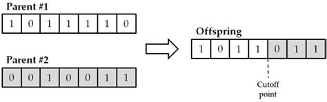 Example Of 1 Point Crossover Operator Download Scientific Diagram