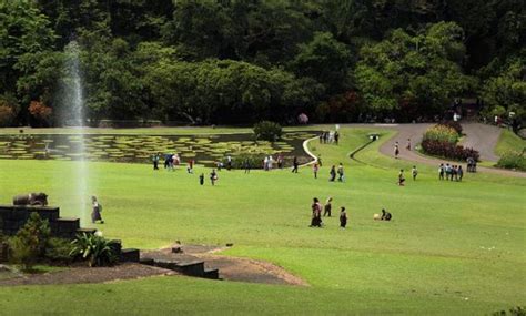 22 Objek Wisata Kebun Raya Bogor Harga Tiket Fasilitas Daya Tarik Dll