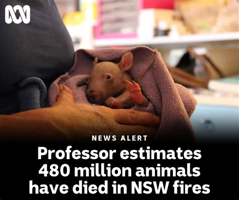 Abc Sydney Ecologist Chris Dickman An Expert In