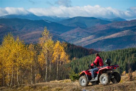 Different Types Of ATVs A Comprehensive Guide Neighbor Blog