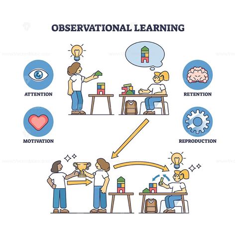 observational learning as behavior impact from observation outline diagram observational