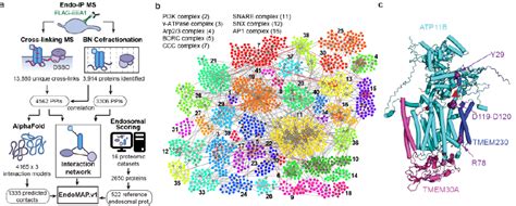 Harper Lab Charts The Structural Protein Complex Landscape Of Human