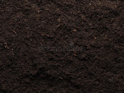 Seamless Potting Soil Texture