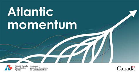 Lana Collins Abc Mc Posted On Linkedin