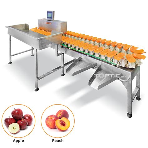automatic fruit sorting machine efficient grading system for efficient