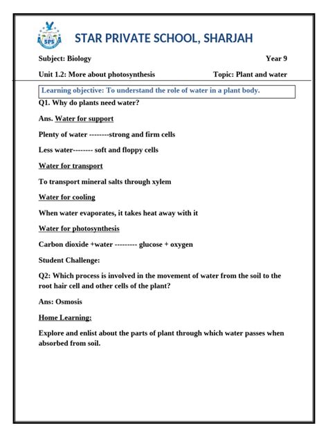 Year 9 Notes 04 Unit 12 Plants And Water Pdf