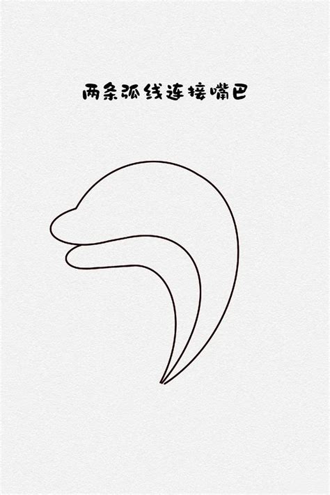 海豚简笔画大全20张 几塔之家