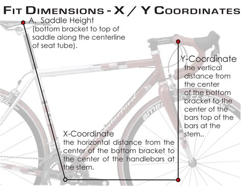 X Y Coordinate Illustration 2011