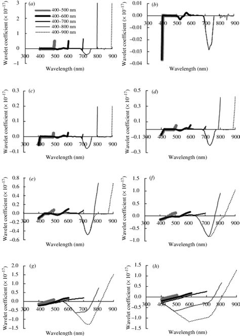 Wavelet Coefficients At Different Scales Derived From A Haar Continuous Download Scientific