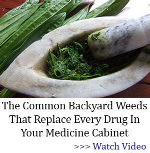 25 Babe Known Medicinal Uses For Tree Bark The Lost Herbs