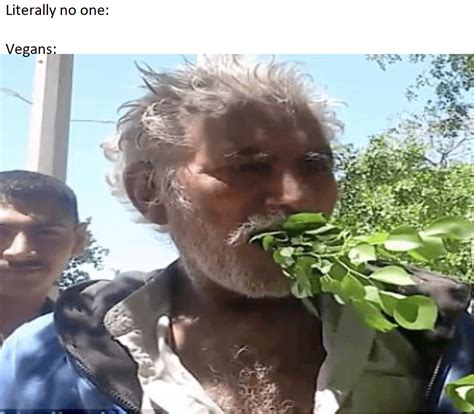 Deforestation 100 Rmemes