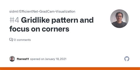 Gridlike Pattern And Focus On Corners · Issue 4 · Sidmlefficientnet Gradcam Visualization · Github