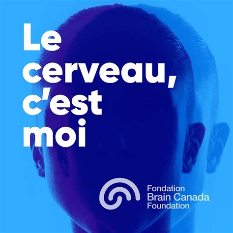 Cartographie Du Cerveau