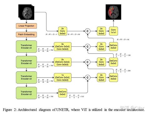 医学图像分割的视觉transformer:最新综述 知乎 医学图像分割的视觉transformer:最新综述 知乎