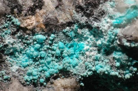 Mineralatlas Lexikon Moolooite