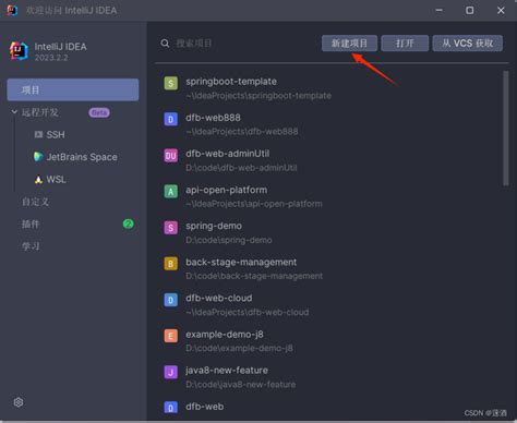 新版idea 创建spring boot 项目 阿里云开发者社区
