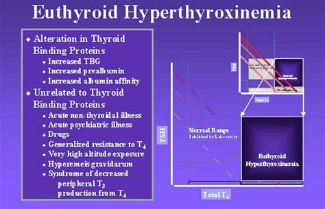 Hyperthyroxinemia