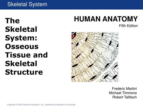 Ppt The Skeletal System Osseous Tissue And Skeletal Structure Powerpoint Presentation Id