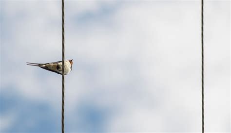 무료 이미지 비행 하늘 바람 선 돛대 푸른 풍력 터빈 가로등 조명 전등 지구의 분위기 4584x2658 87439 무료 이미지 Pxhere