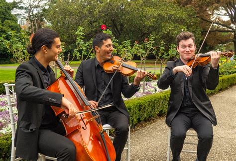 About — Classic Strings