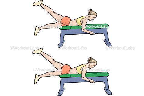 Flutter Kicks Exercise