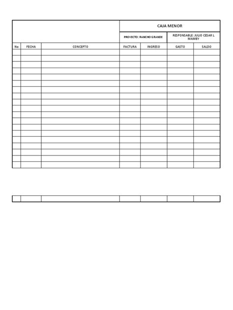 Formato Caja Menor Pdf Formato Caja Menor Pdf