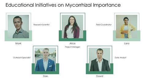 Top 10 Structure And Functions Of Ecosystem Powerpoint Presentation