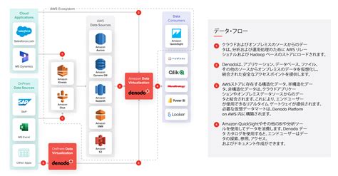 The Denodo Platform For Aws