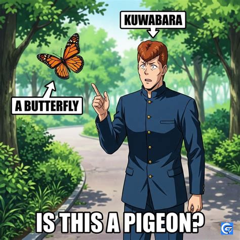 Butterfly Meme S And Images That Perfectly Capture Your Mood Swings 曆
