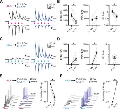 Rostral And Caudal Basolateral Amygdala Engage Distinct Circuits In The