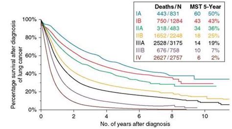Lung Cancer Essential Respiratory Medicine