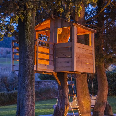 Can You Build A Treehouse In A Dead Tree At Austin George Blog