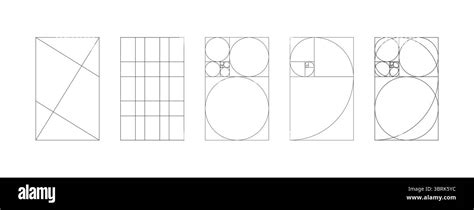 Set Of Golden Ratio Patterns Method Golden Section Mockup Fibonacci