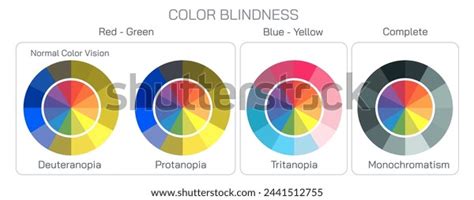 Types Color Blindness Images Stock Photos D Objects Vectors Shutterstock