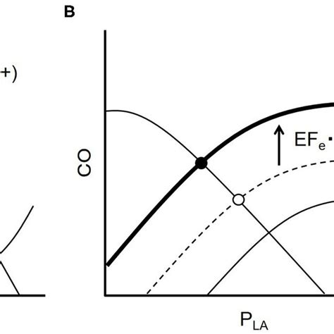 A The Ventricular Arterial Coupling In The Pressure Volume Download Scientific Diagram